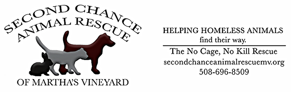 Second Chance Animal Rescue: Give to Change FurBabies' Lives!