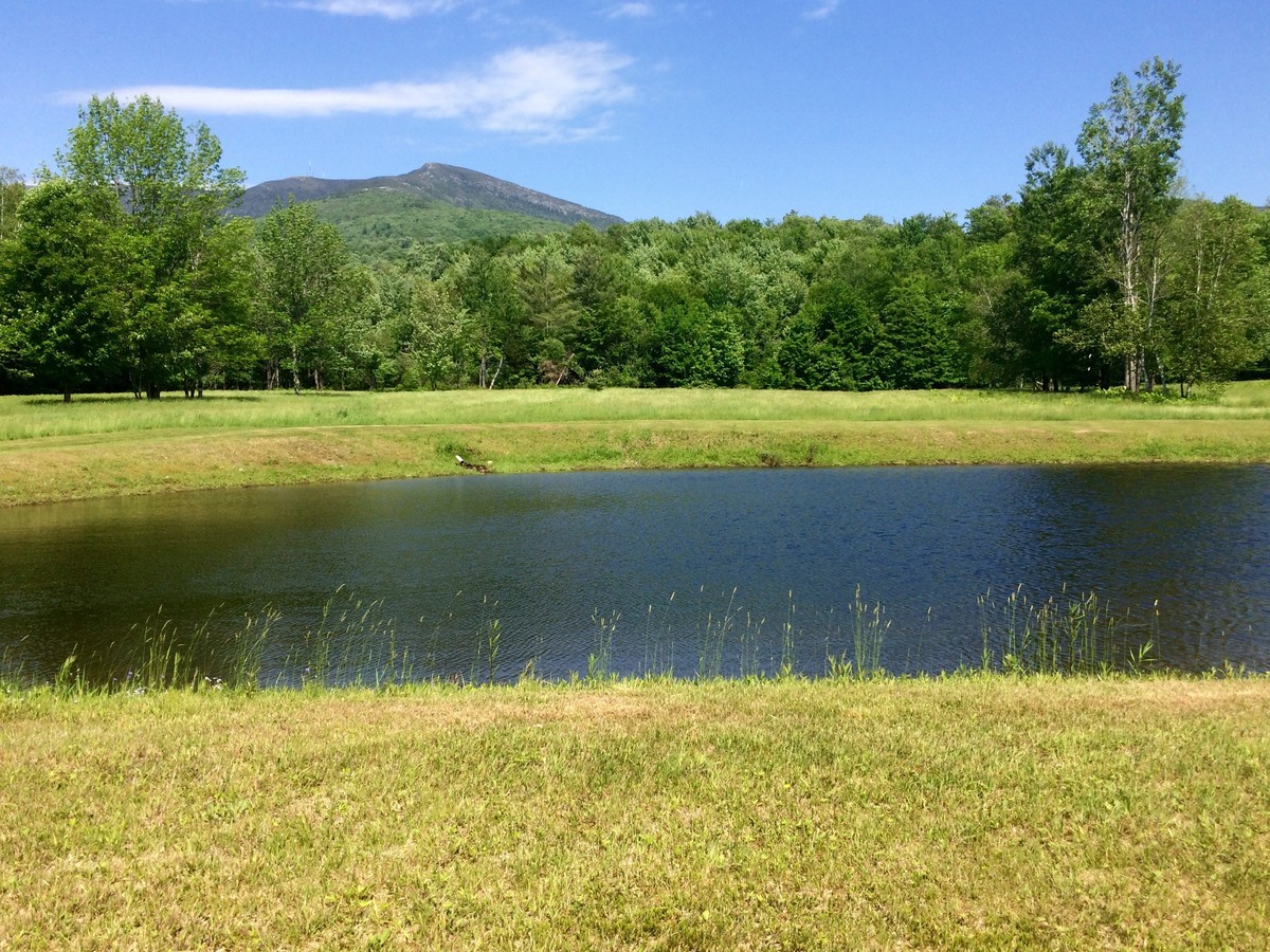 ReTribe: ReTribe Annual Scholarship Fundraiser | GiveGab